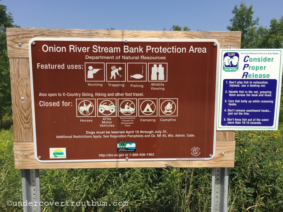 A SLICE OF THE ONION RIVER: WITH A SIDE OF FROZEN CUSTARD, FRIED CHEESE ...